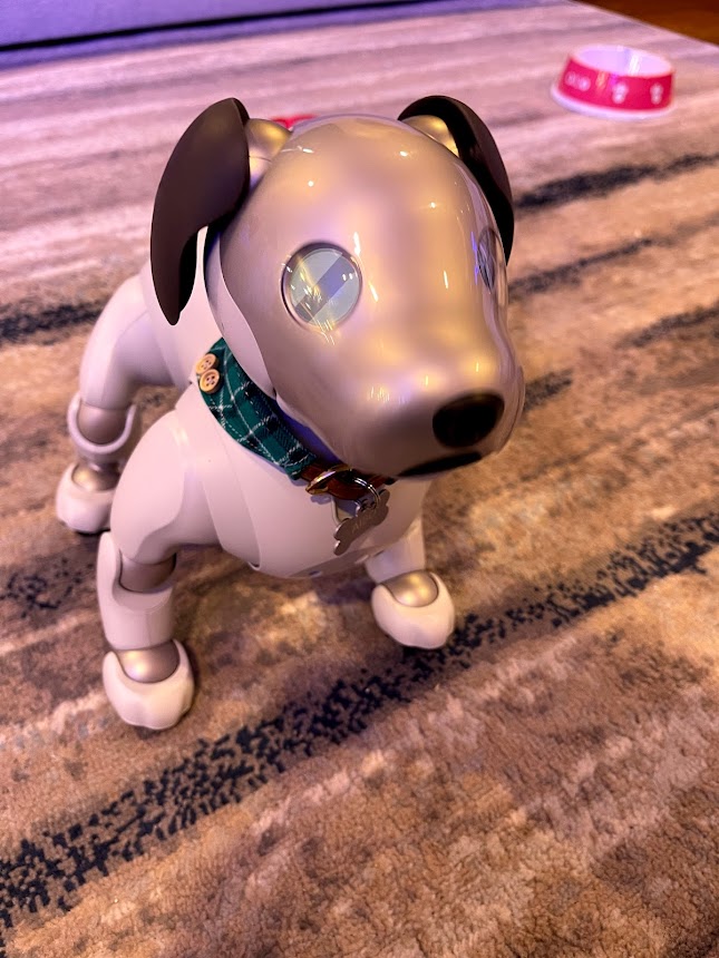 Fix Aibo – We fix Aibos